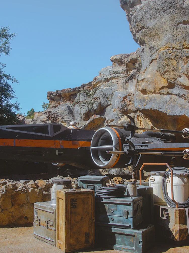 【2024年最新】フロリダ ウォルト・ディズニー・ワールド・リゾートのおすすめアトラクションをレポート！｜tabimuse